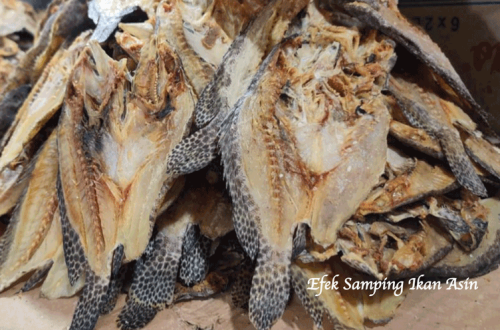 6 Efek Samping Makan Ikan Asin yang Wajib Diwaspadai - BAMS